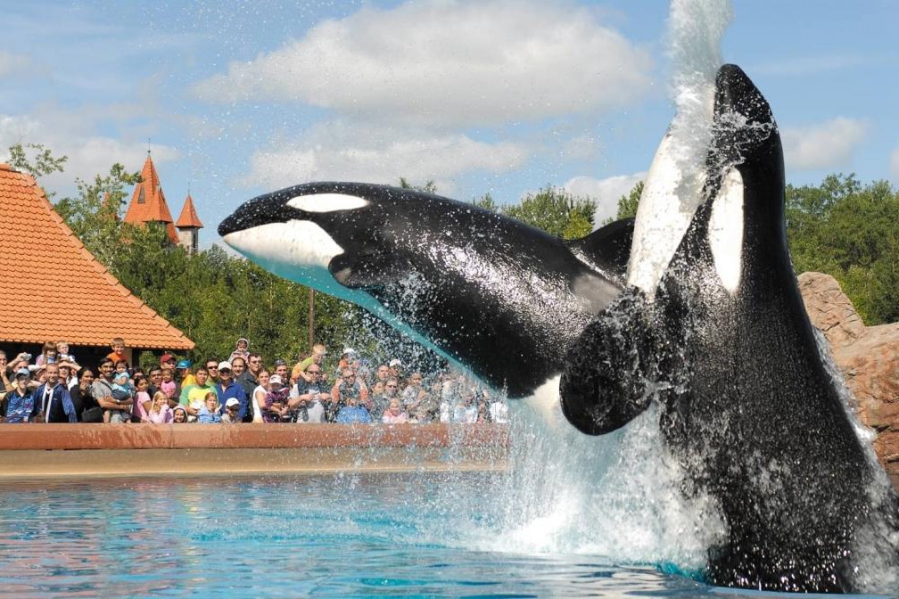 Niagara Falls Attractions - Holiday Inn By The Falls